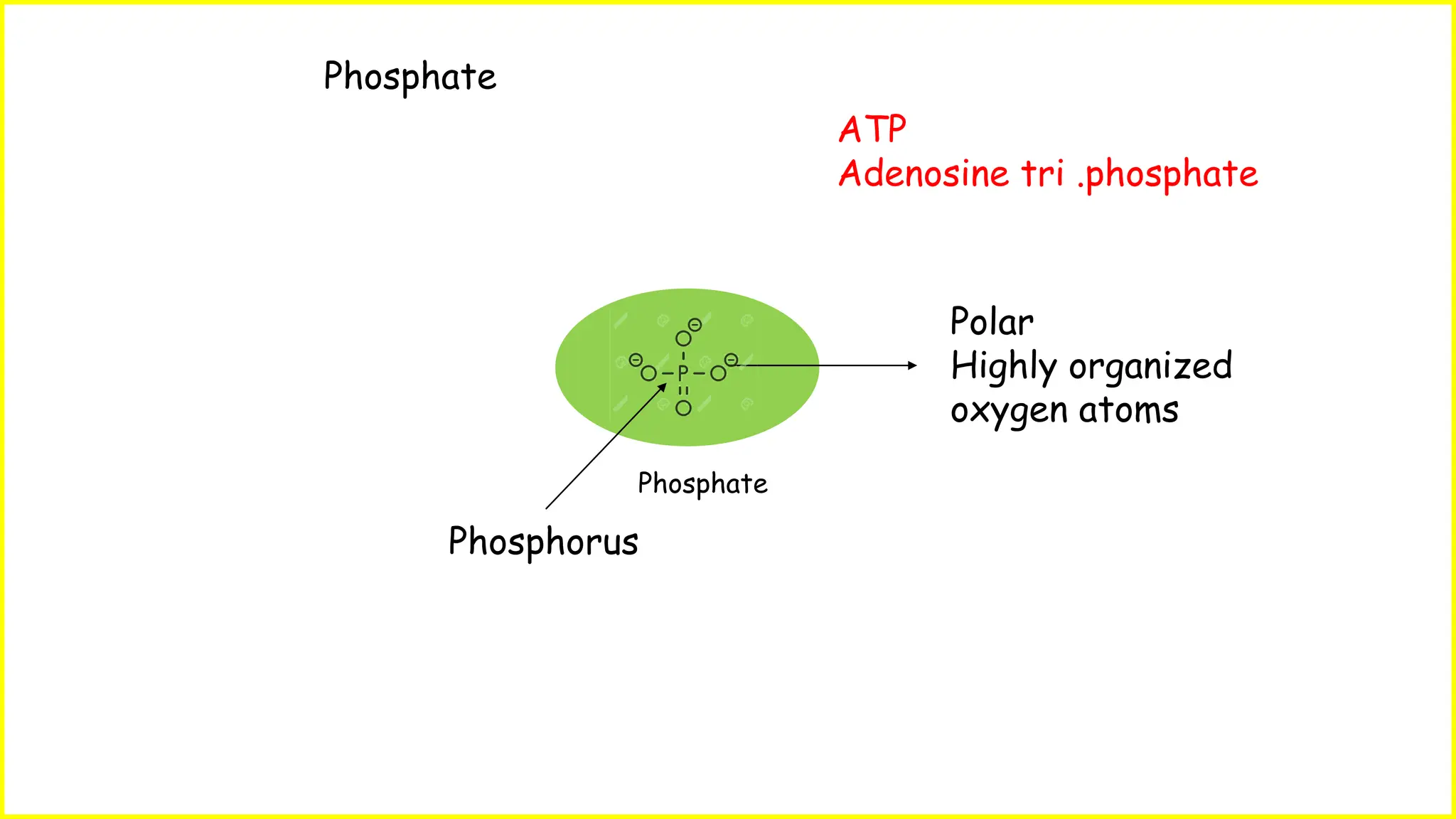 Structure and functions of dna and rna cell | PPT