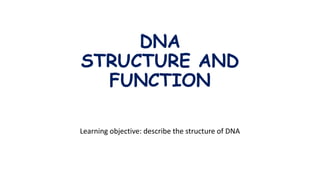 Structure and functions of dna and rna cell | PPT