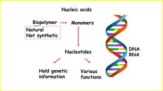 Structure and functions of dna and rna cell | PPT