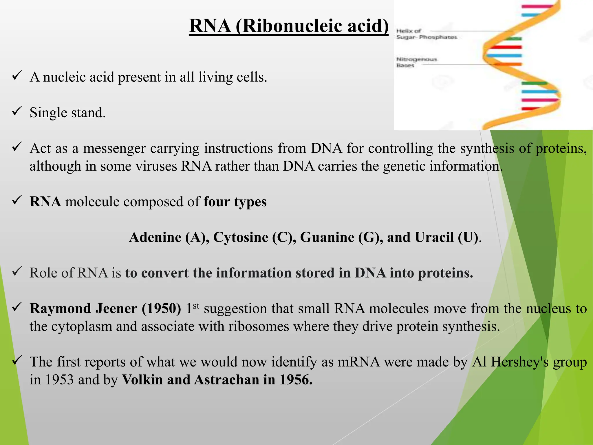 DNA and RNA , Structure, Functions, Types, difference, Similarities ...