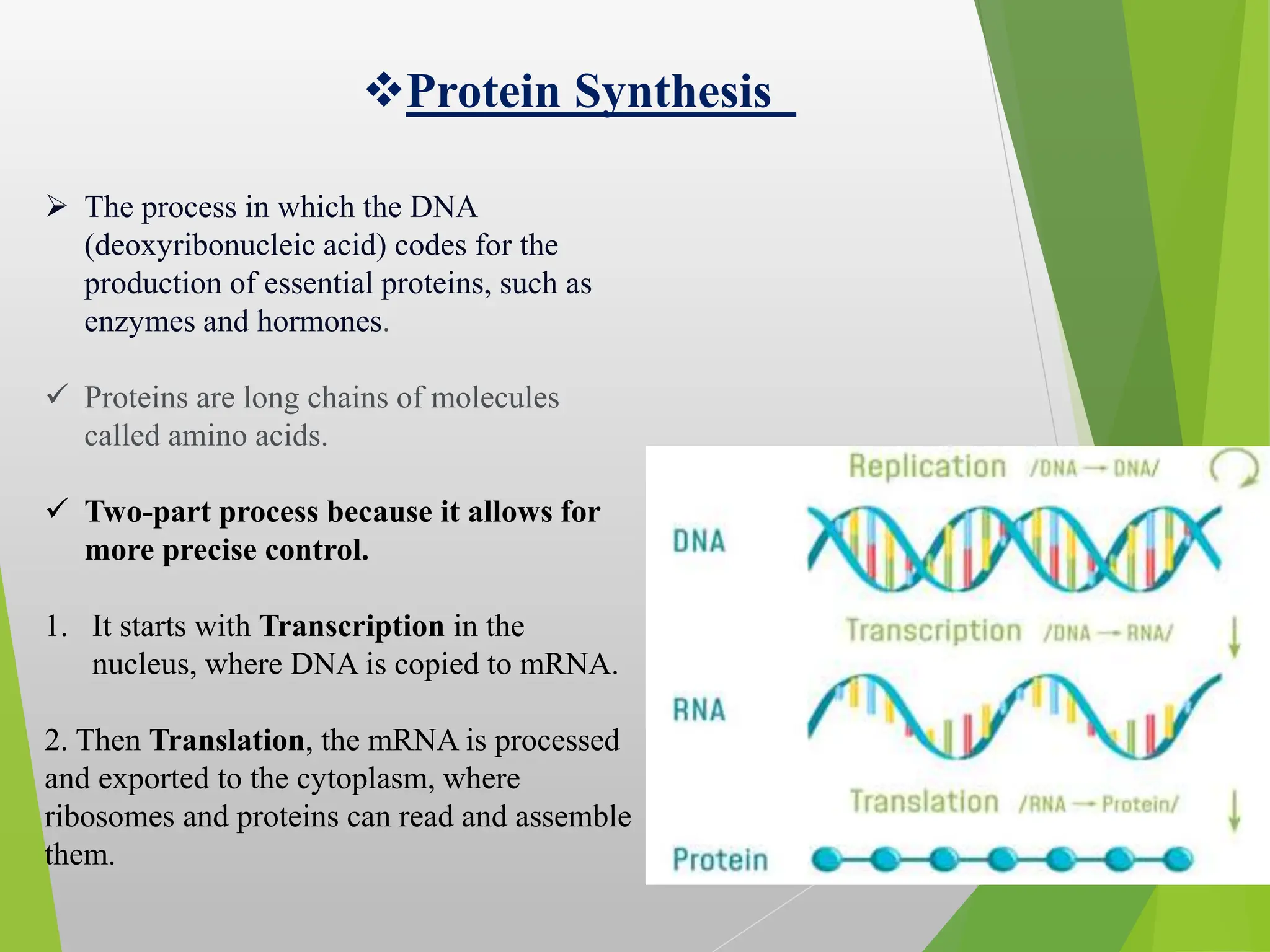 DNA and RNA , Structure, Functions, Types, difference, Similarities ...