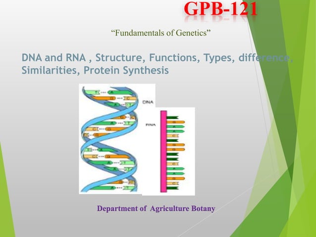 DNA and RNA , Structure, Functions, Types, difference, Similarities ...