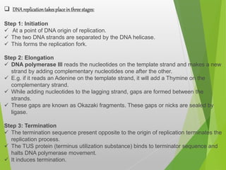 DNA and RNA , Structure, Functions, Types, difference, Similarities ...