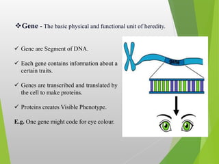 DNA and RNA , Structure, Functions, Types, difference, Similarities ...