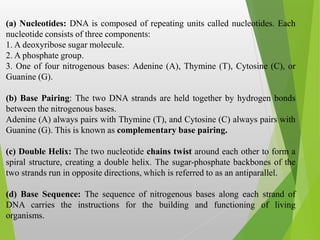 DNA and RNA , Structure, Functions, Types, difference, Similarities ...