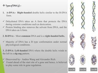 DNA and RNA , Structure, Functions, Types, difference, Similarities ...
