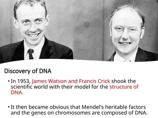DNA and RNA V2 including information regarding protein synthesis | PPT