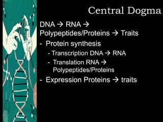 Dna & the Central Dogma | PPT