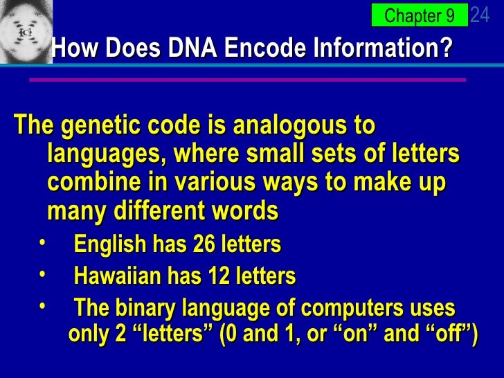 DNA-APBio Ch 9