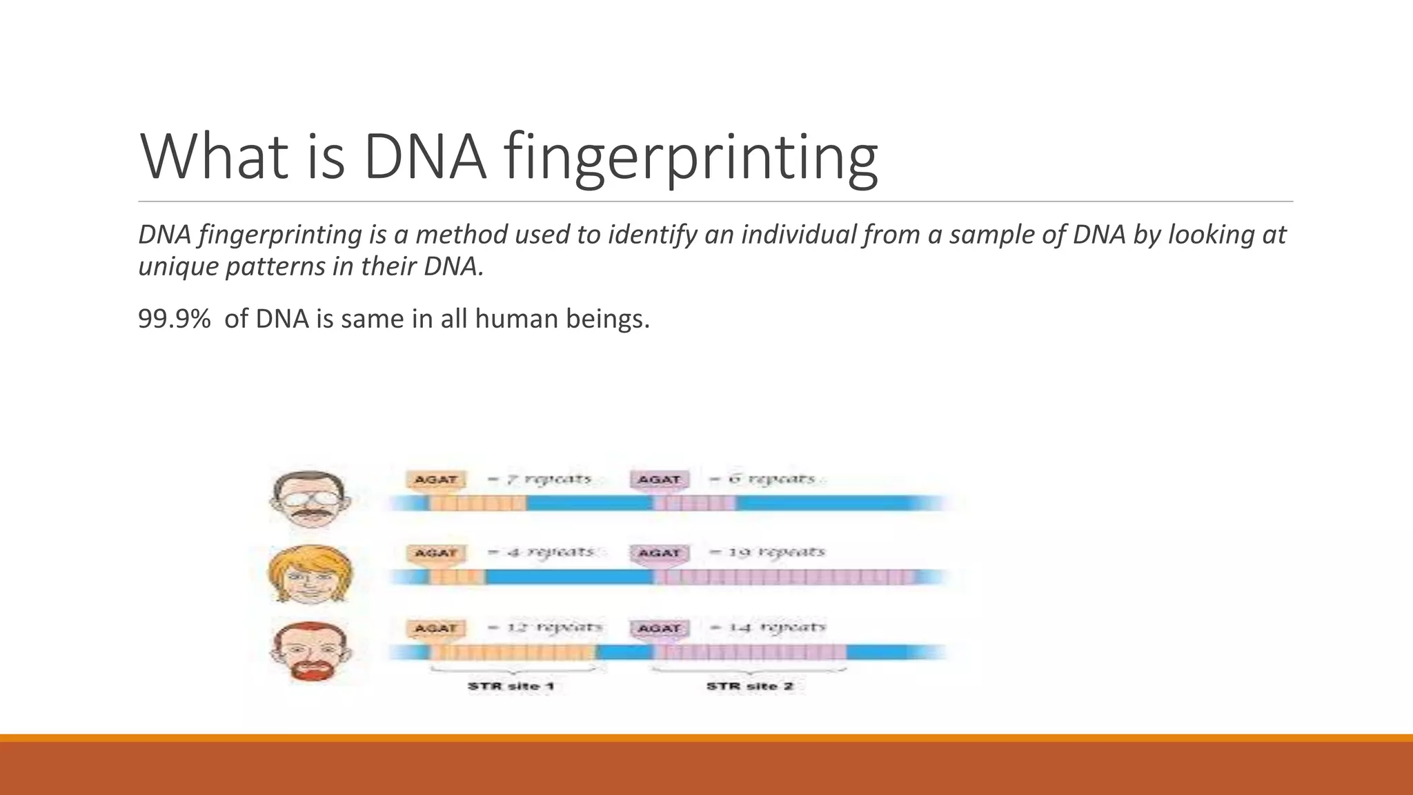 understanding Dna as an evidence | PPTX