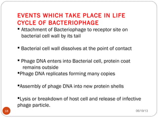 Dna as genetic material | PPT