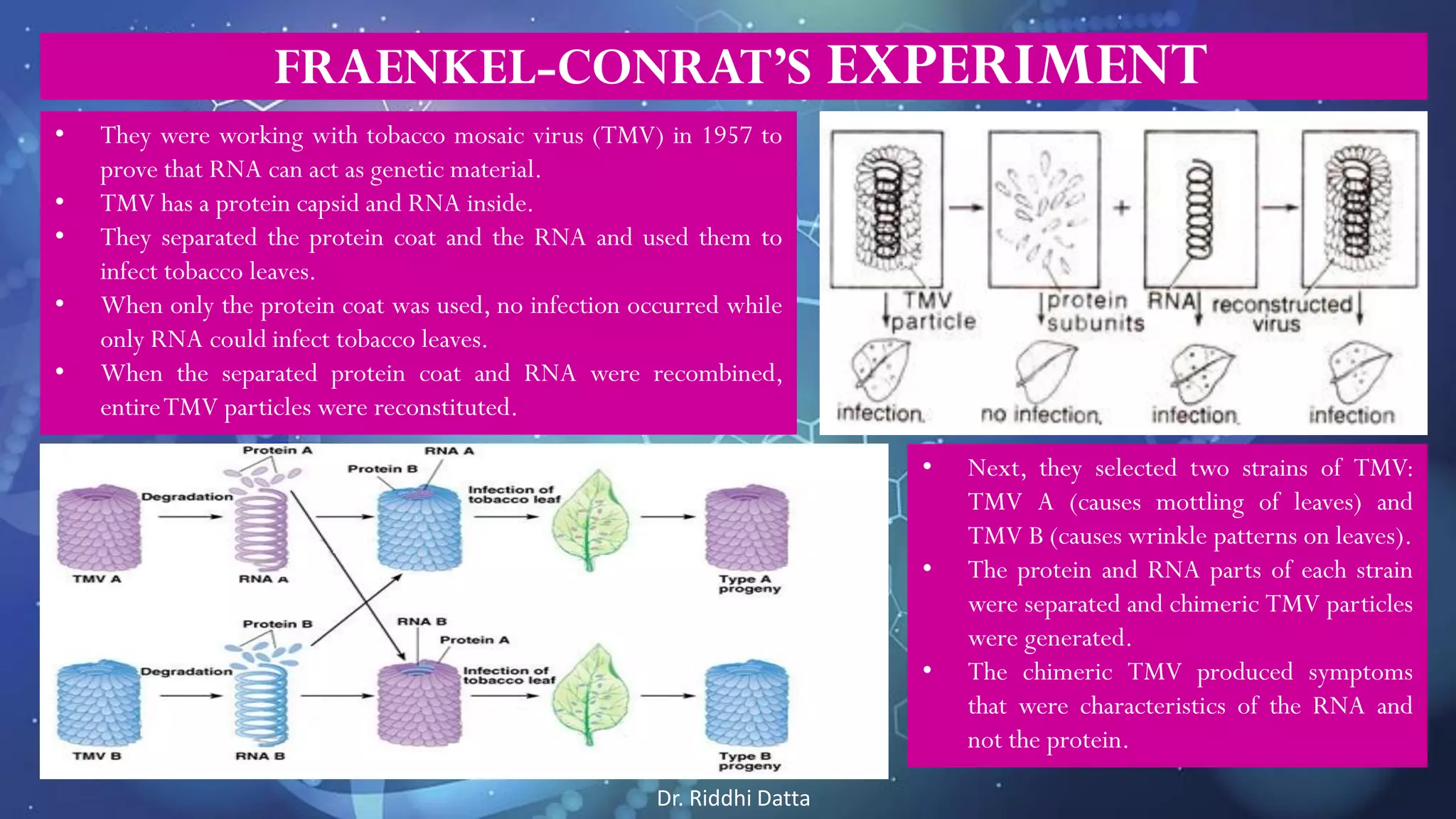 DNA as genetic material | PDF