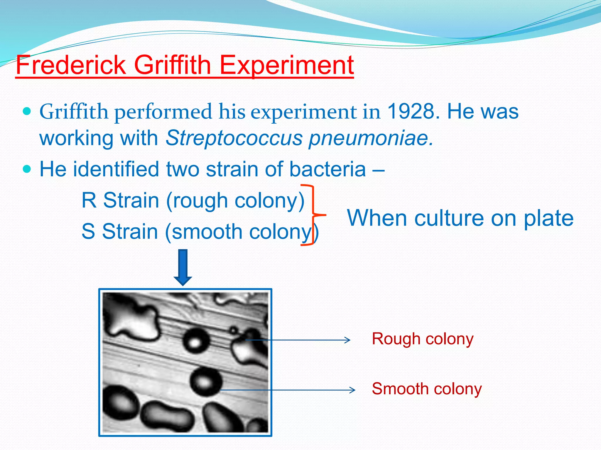 DNA as genetic material | PPTX