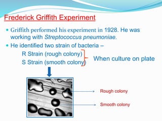 DNA as genetic material | PPTX