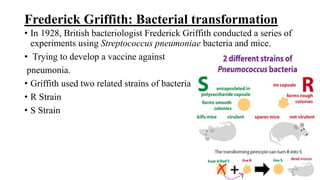 DNA : genetic material Experiments | PPT