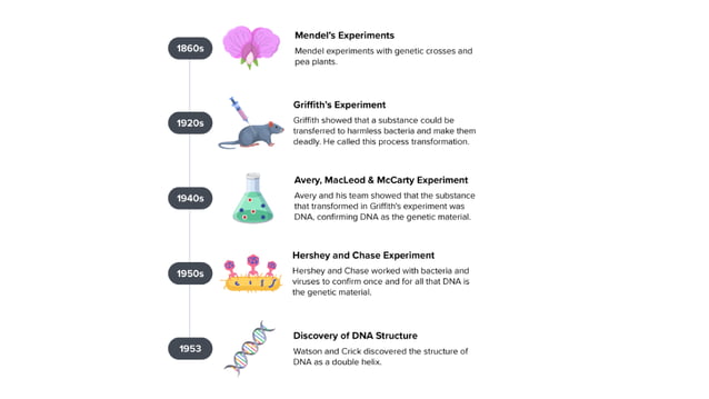 DNA as genetic material experiments and explanation .ppt