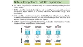 DNA as genetic material experiments and explanation .ppt