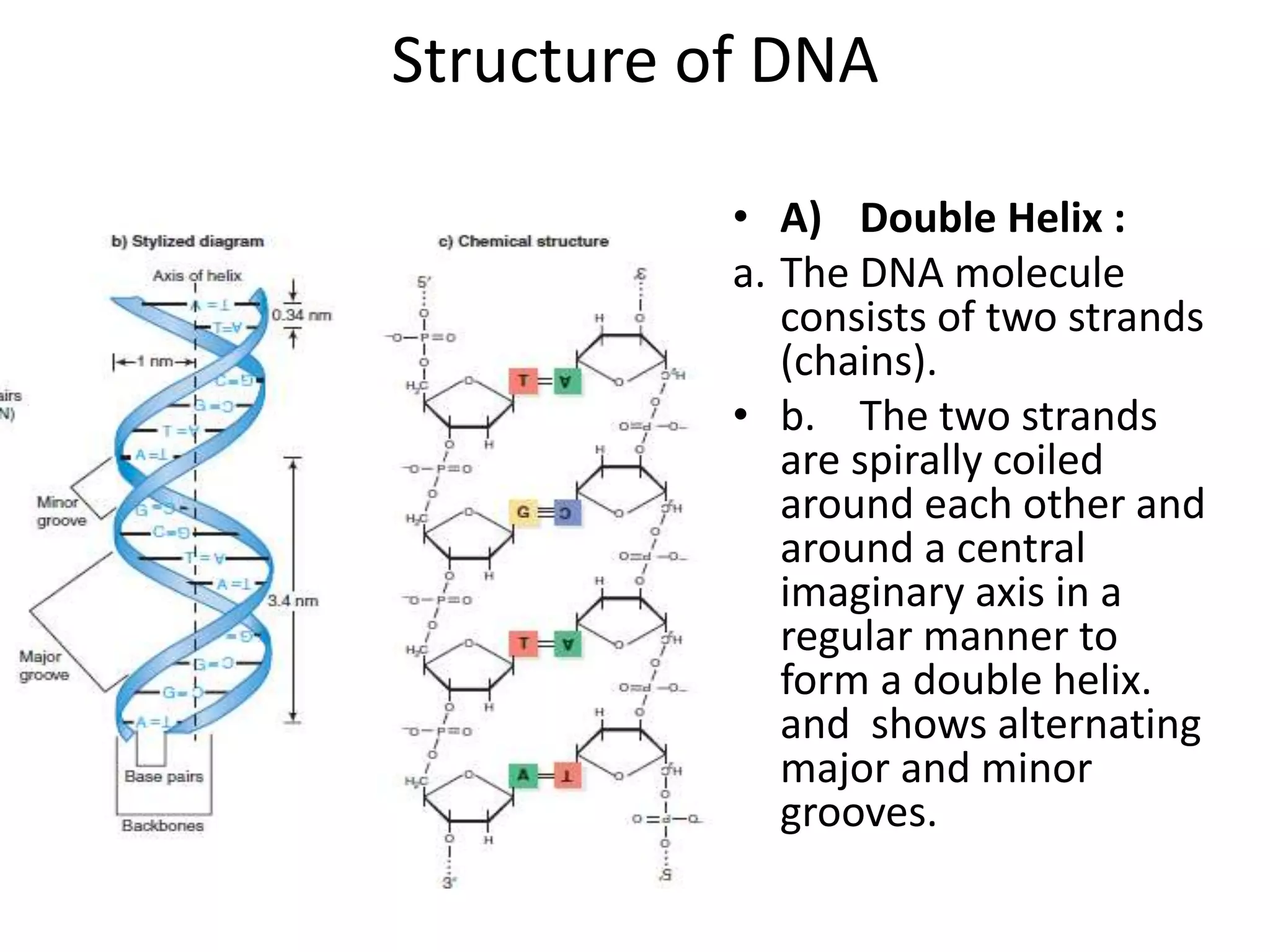 Dna as genetic material ppt | PPT