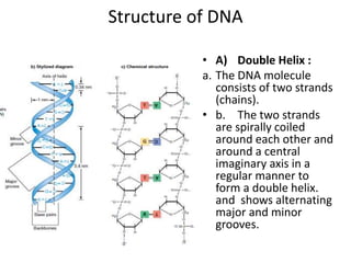 Dna as genetic material ppt | PPTX