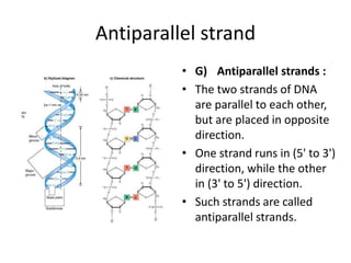 Dna as genetic material ppt | PPTX