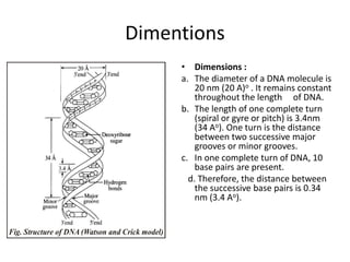 Dna as genetic material ppt | PPT