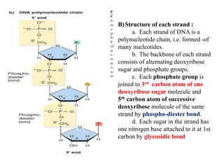 Dna as genetic material | PPT