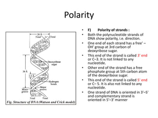 Dna as genetic material | PPT