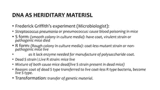 Dna as heriditary materisl | PPT