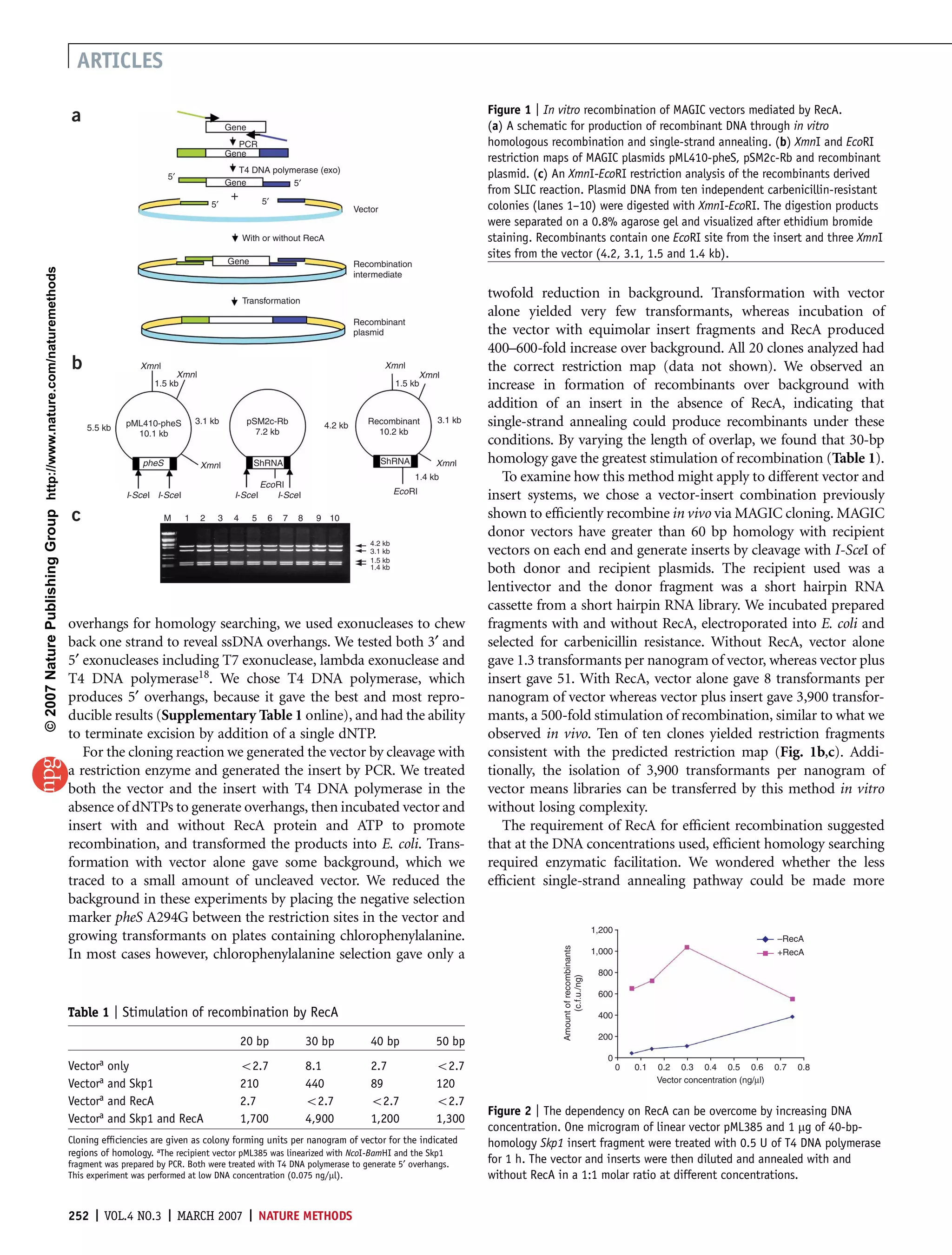 Dna assembly 1 | PDF