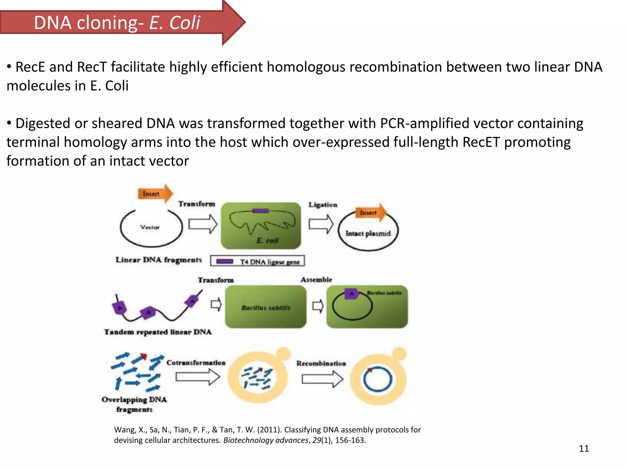 Dna assembly techniques | PPTX