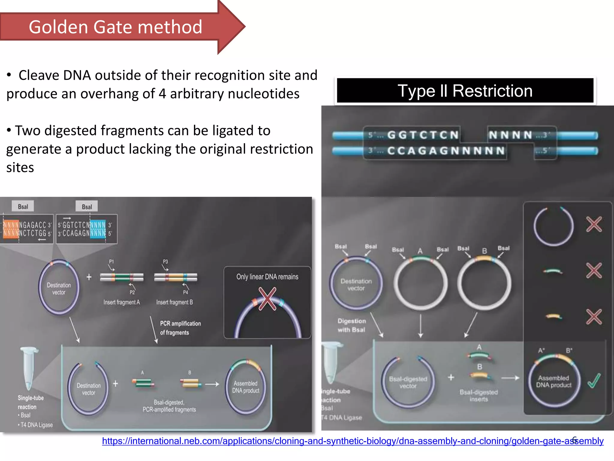 Dna assembly techniques | PPTX