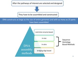 Dna assembly techniques | PPTX