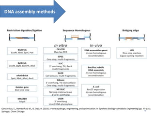Dna assembly techniques | PPTX
