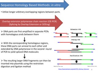 Dna assembly techniques | PPTX
