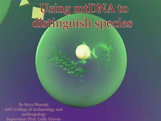 DNA Bar-code to Distinguish the Species | PPTX