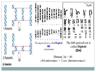 DNA Bar-code to Distinguish the Species | PPTX