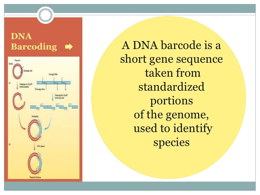 Dna Bar Code To Distinguish The Species