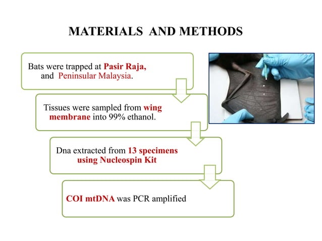 Dna barcoding | PPTX | Biological Sciences | Science