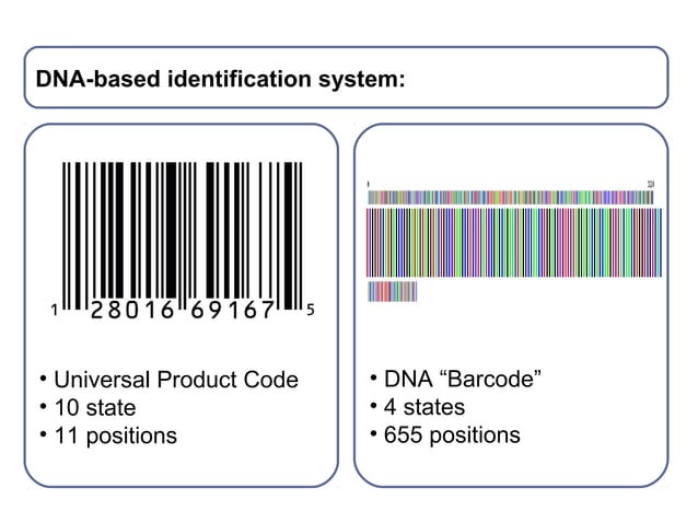 DNA Barcoding | PPT | Biological Sciences | Science