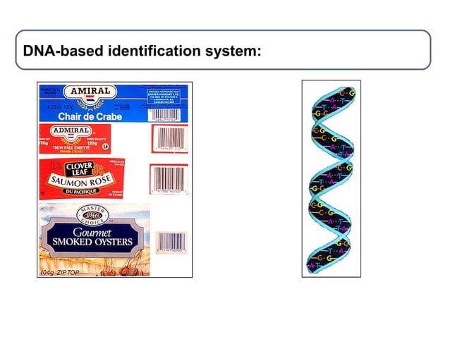 DNA Barcoding | PPT | Biological Sciences | Science