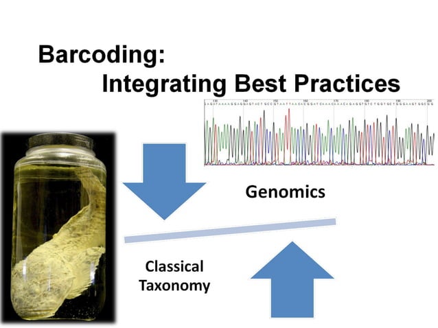DNA Barcoding | PPT | Biological Sciences | Science