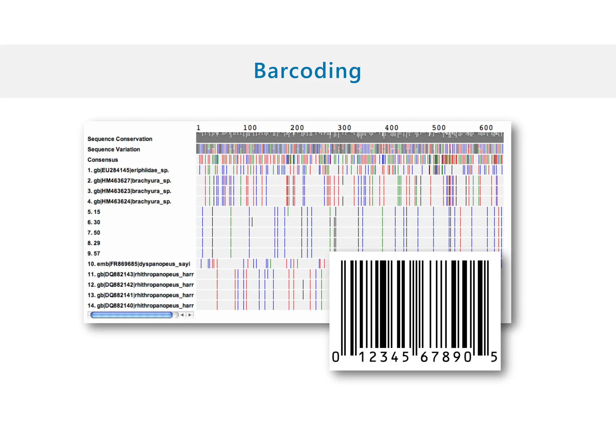 DNA barcoding (short DNA sequences to identify) | PPT