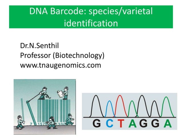 Use of DNA barcoding and its role in the plant species/varietal ...