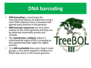 Use of DNA barcoding and its role in the plant species/varietal ...