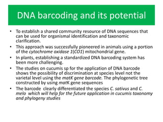 Use of DNA barcoding and its role in the plant species/varietal Identification | PPT