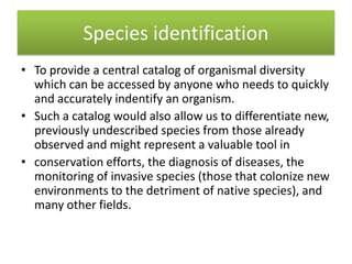 Use of DNA barcoding and its role in the plant species/varietal ...