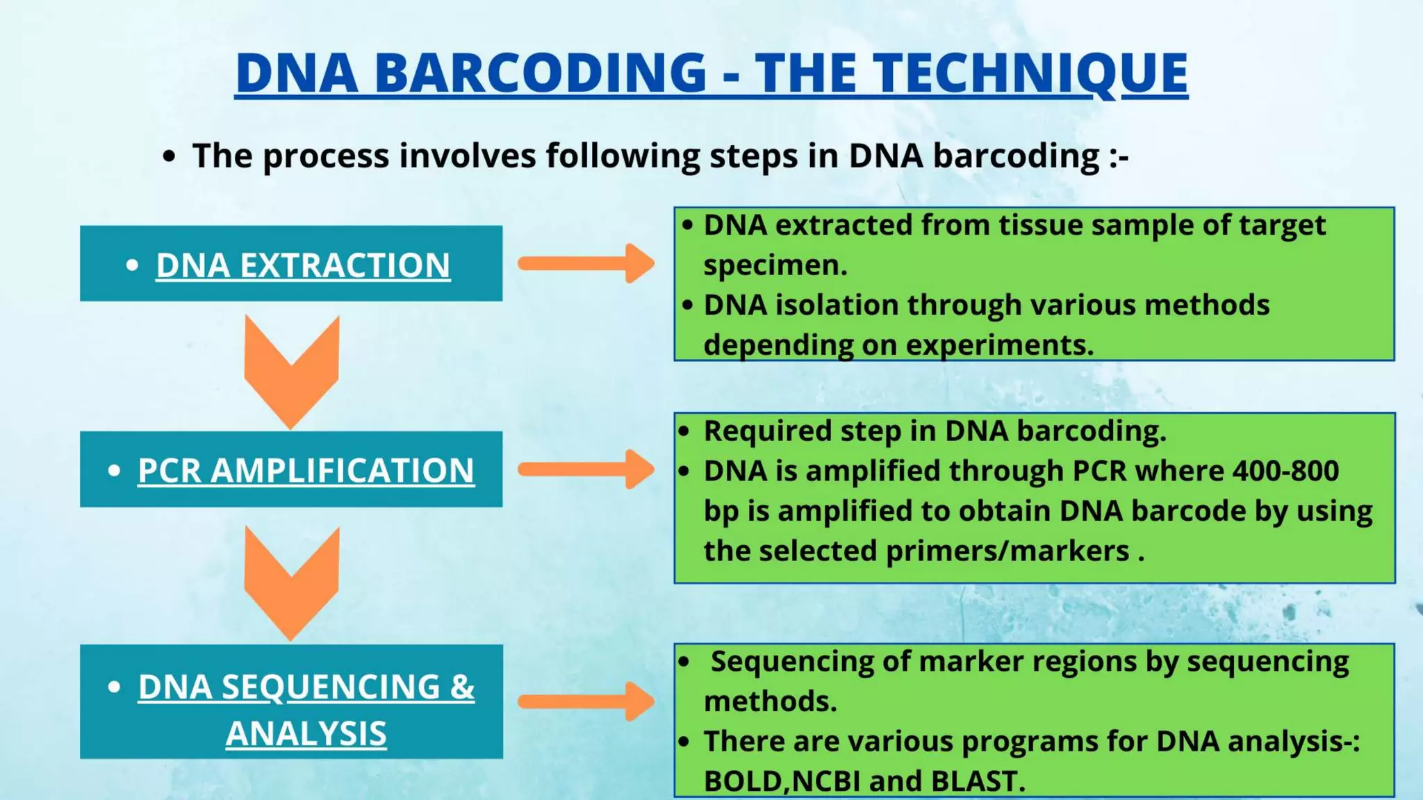 DNA Barcoding | PDF | Genetics | Science