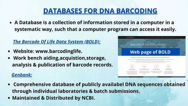 DNA Barcoding | PDF