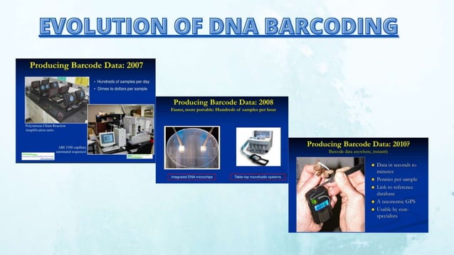 DNA Barcoding | PDF