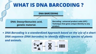 DNA Barcoding | PPT